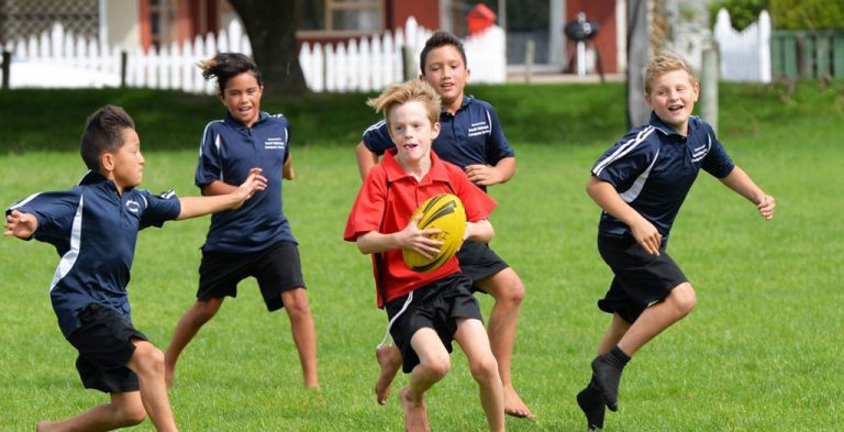 Our Curriculum – Greytown School