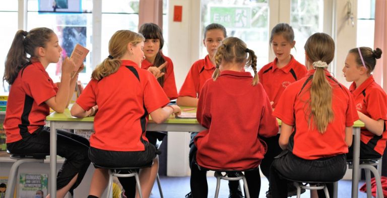 Our Curriculum – Greytown School