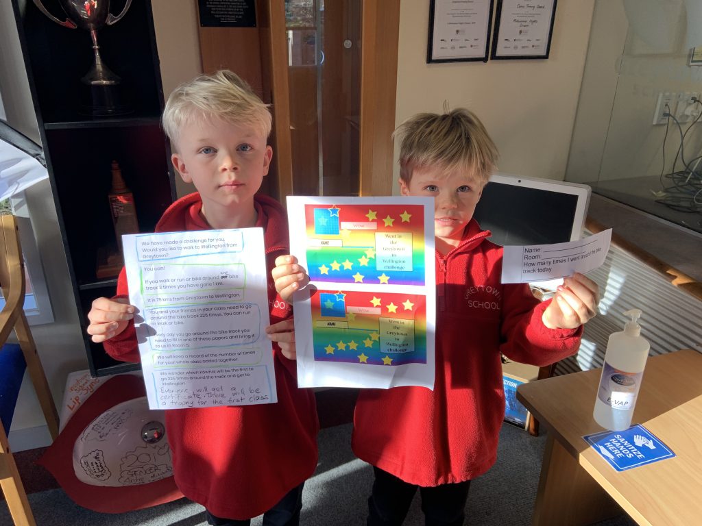 Our Curriculum – Greytown School